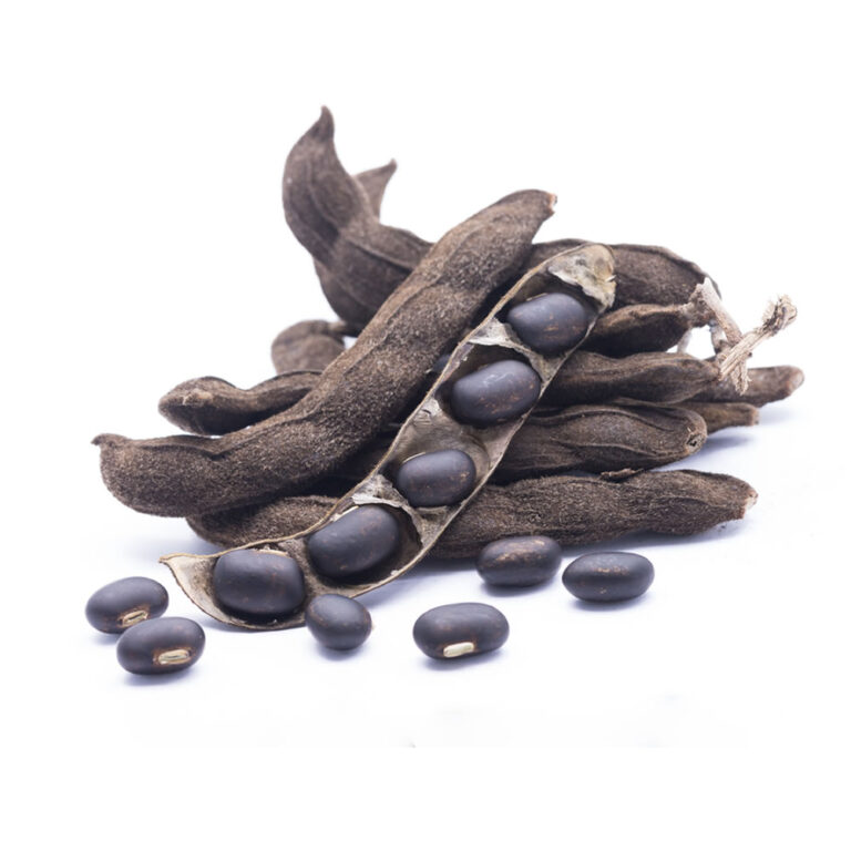 Mucuna pruriens/Mucuna - Intelezi Herbs